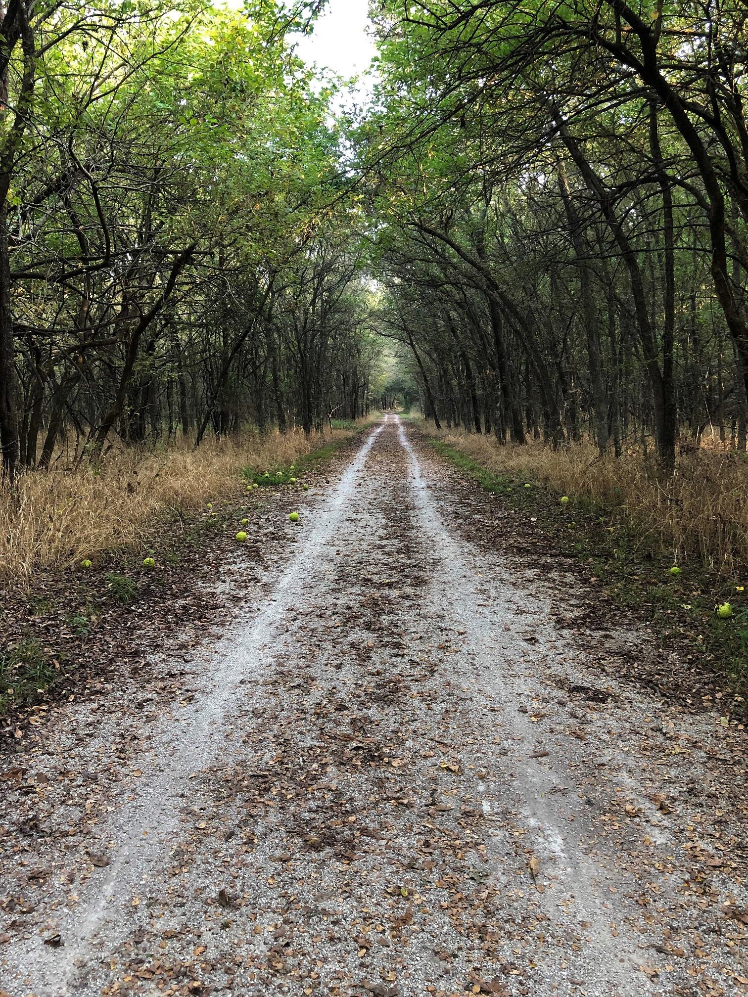 Campground Details - Ray Roberts Lake State Park Green Belt, TX - Texas ...